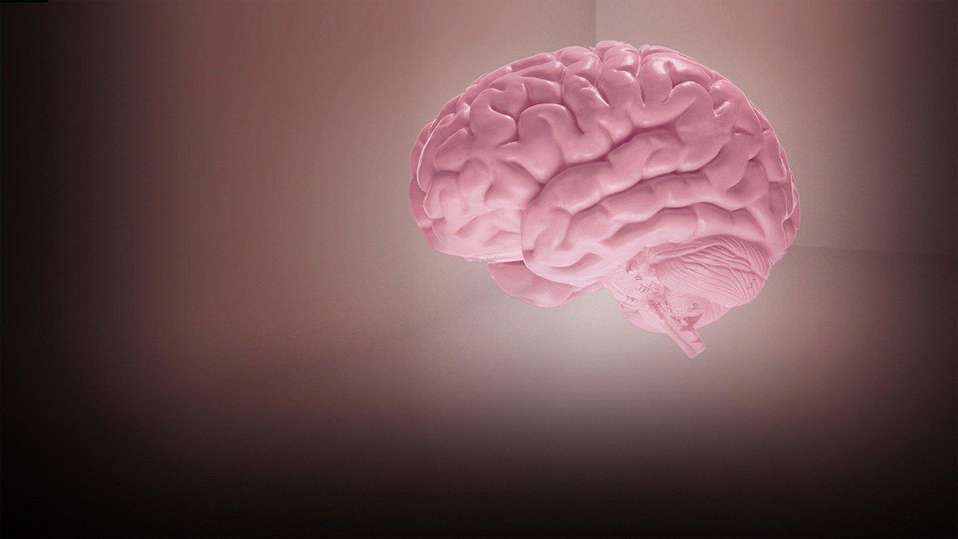 Your Bleeped Up Brain