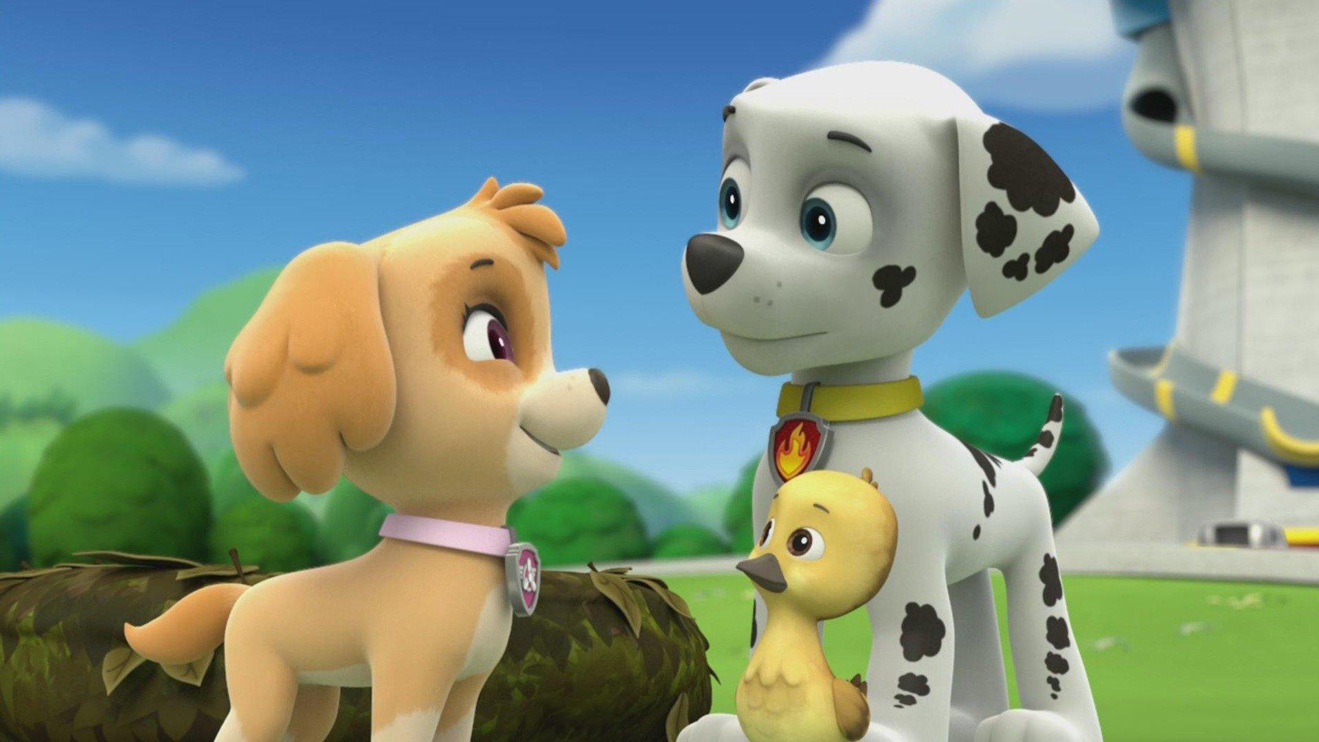 PAW Patrol: Pup Pup Goose; Pup Pup and Away