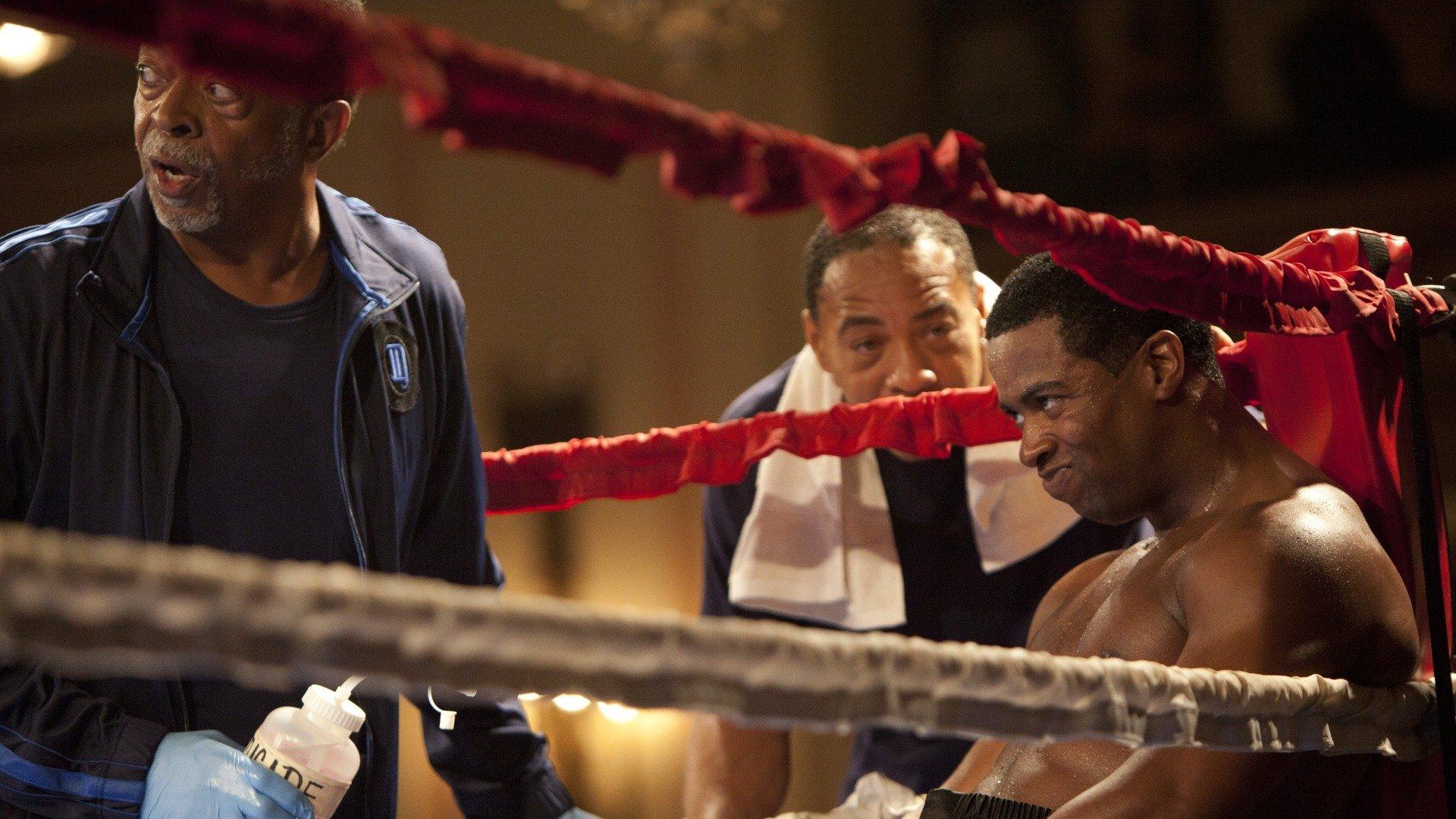 Low Winter Sun: Cake on the Way