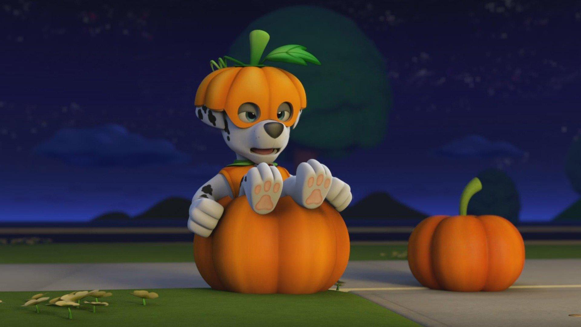 PAW Patrol: Pups and the Ghost Pirate