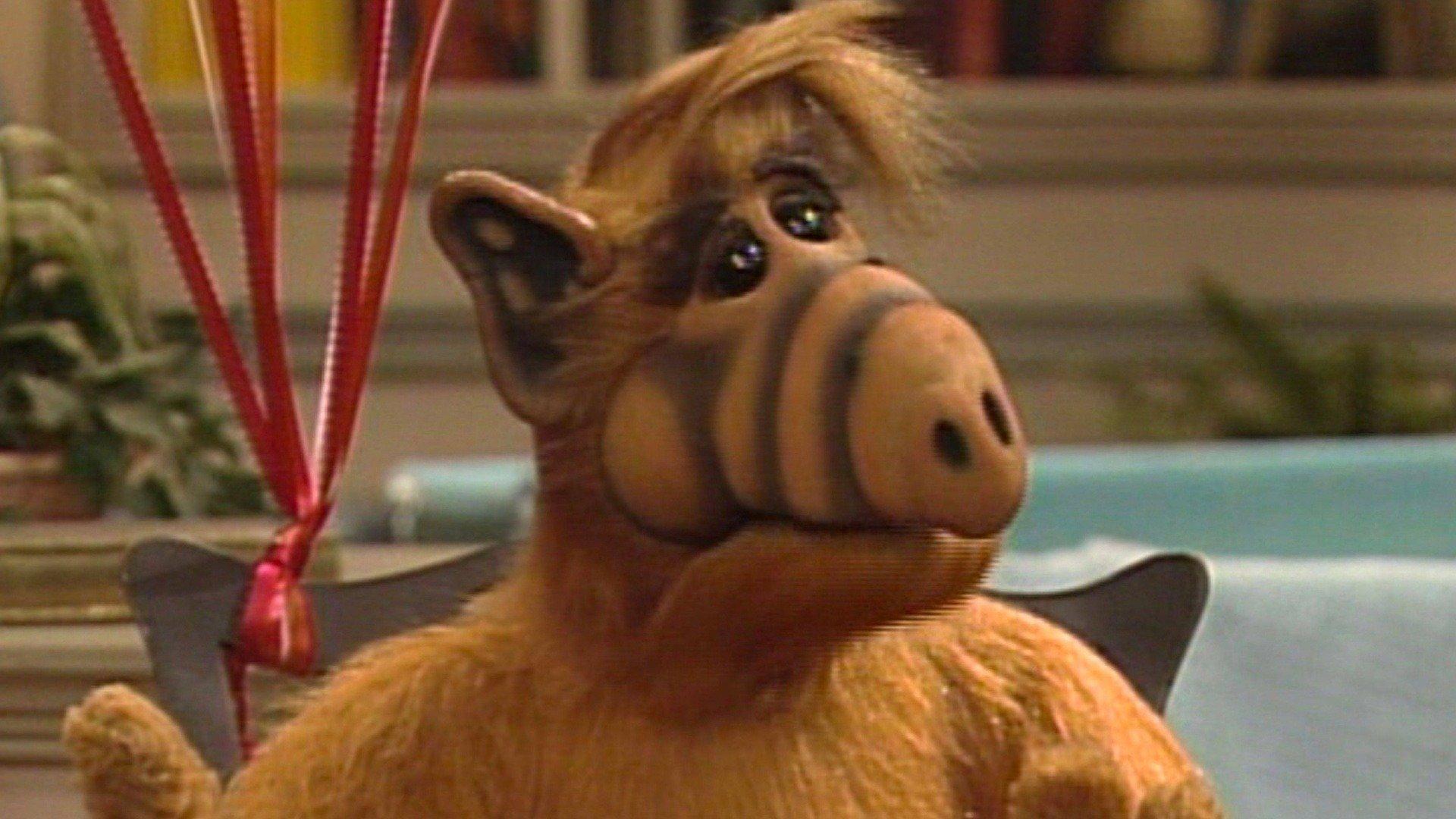 ALF: Consider Me Gone