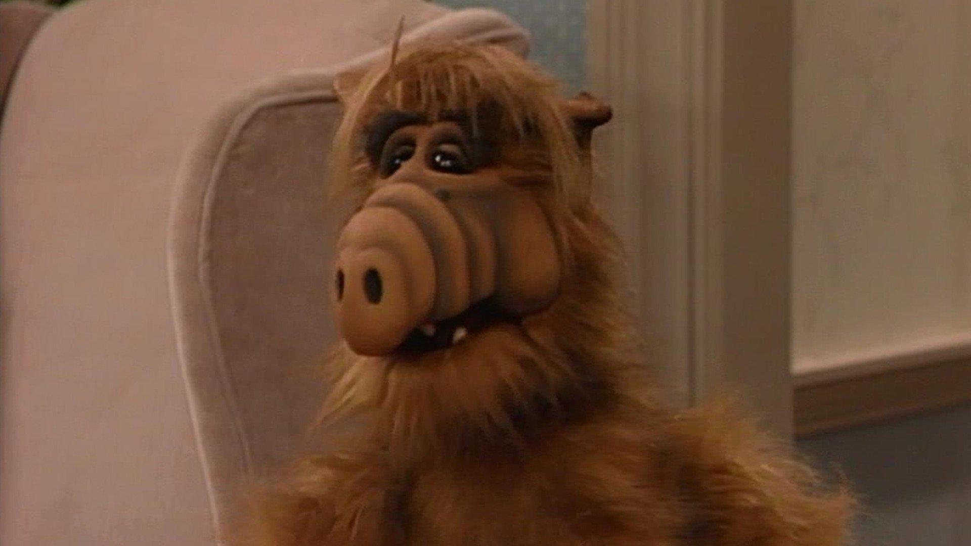 ALF: Try to Remember