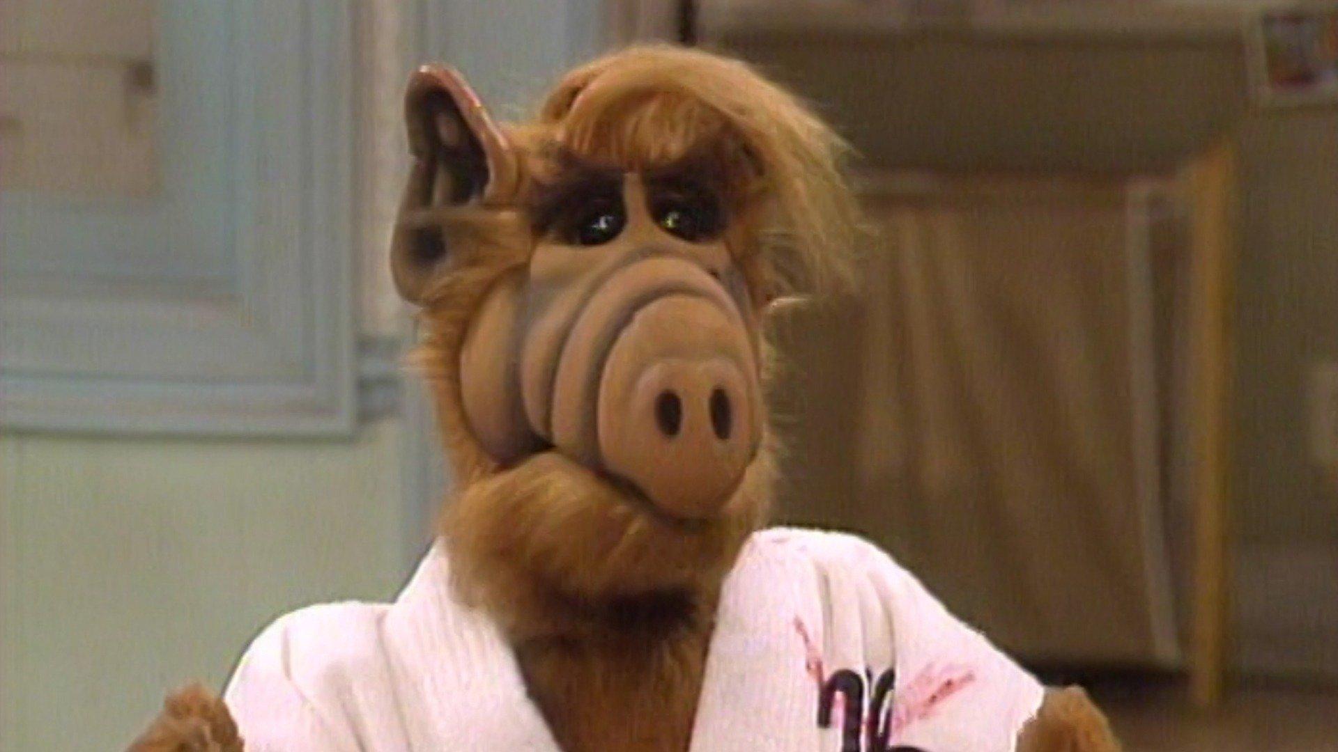 ALF: Stop in the Name of Love