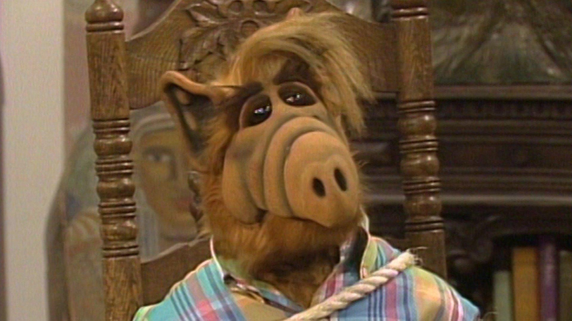 ALF: Alone Again, Naturally