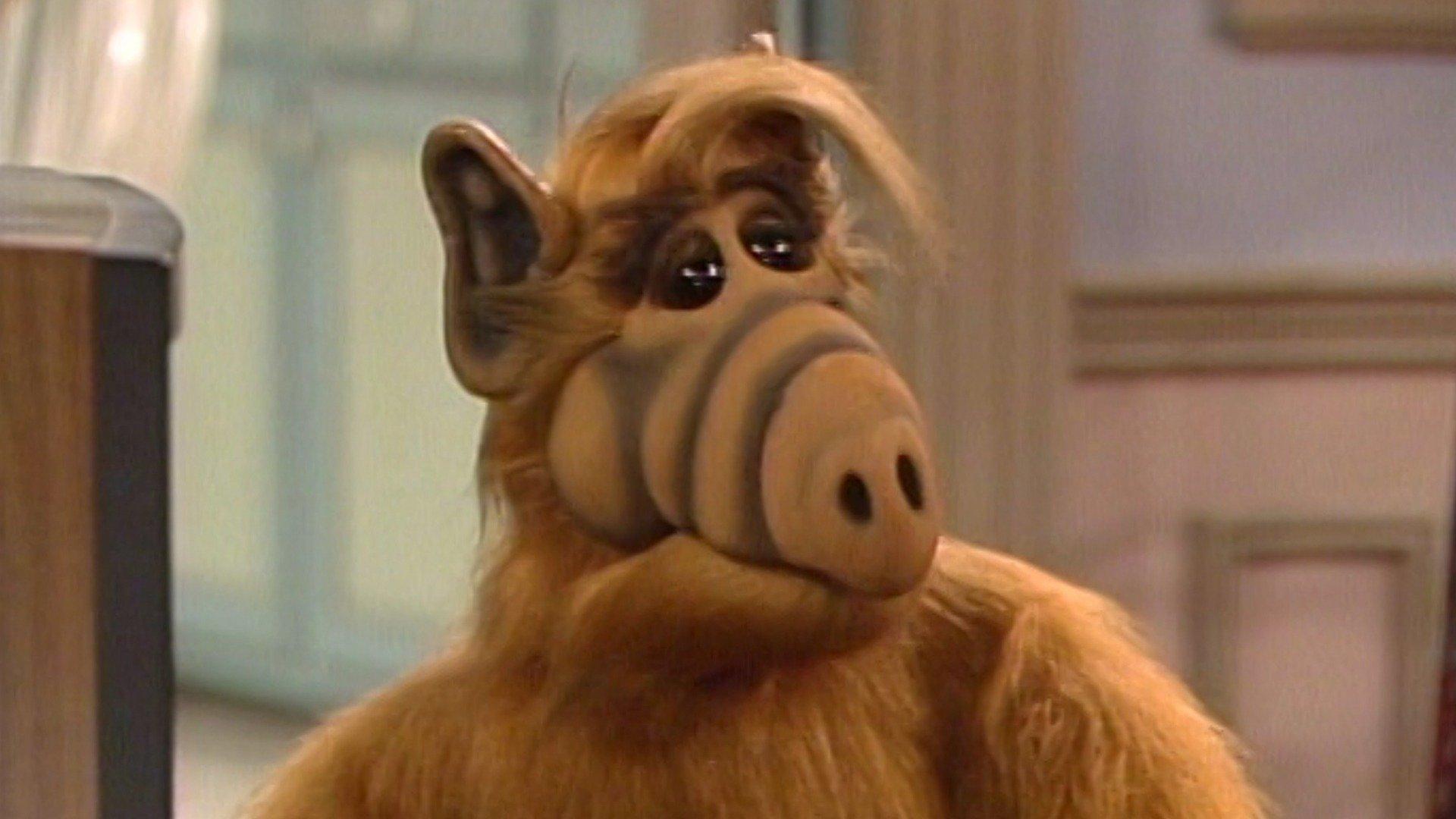 ALF: Hide Away
