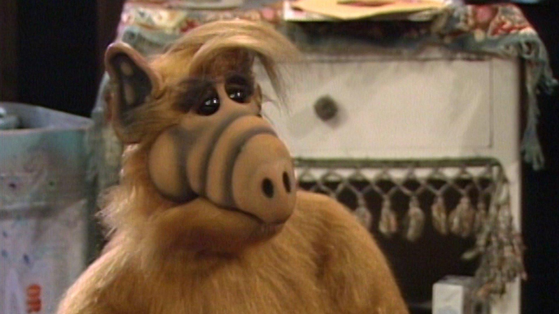 ALF: Shake, Rattle & Roll