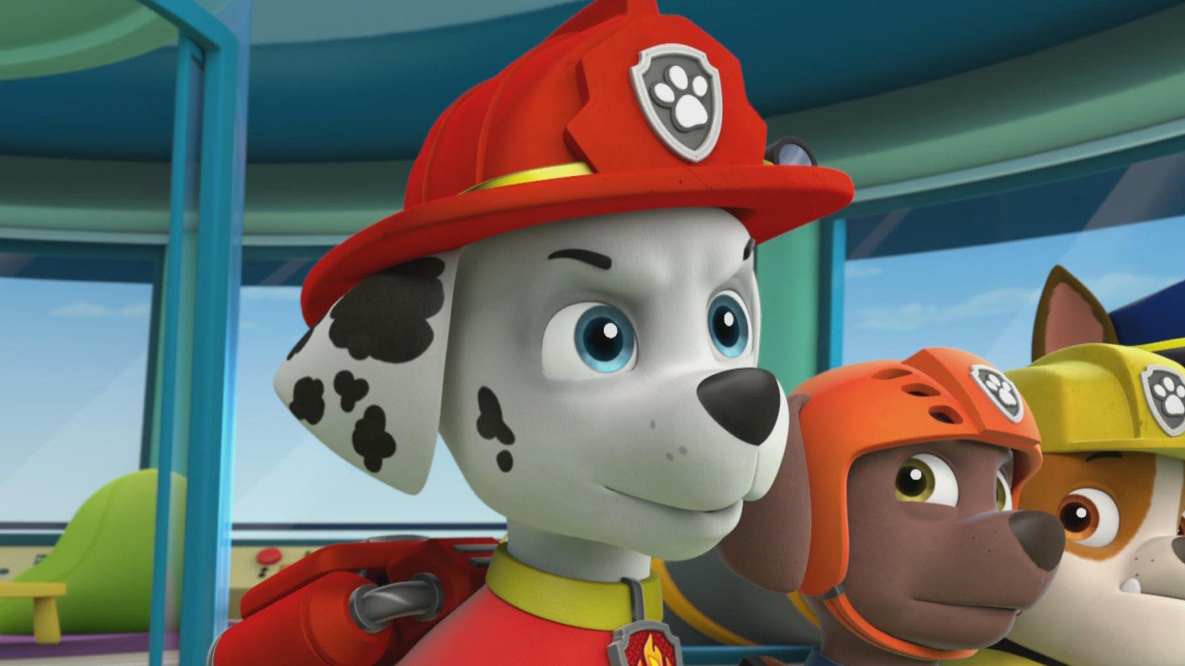 Paw Patrol Pups Save The Treats Pups Get A Lift