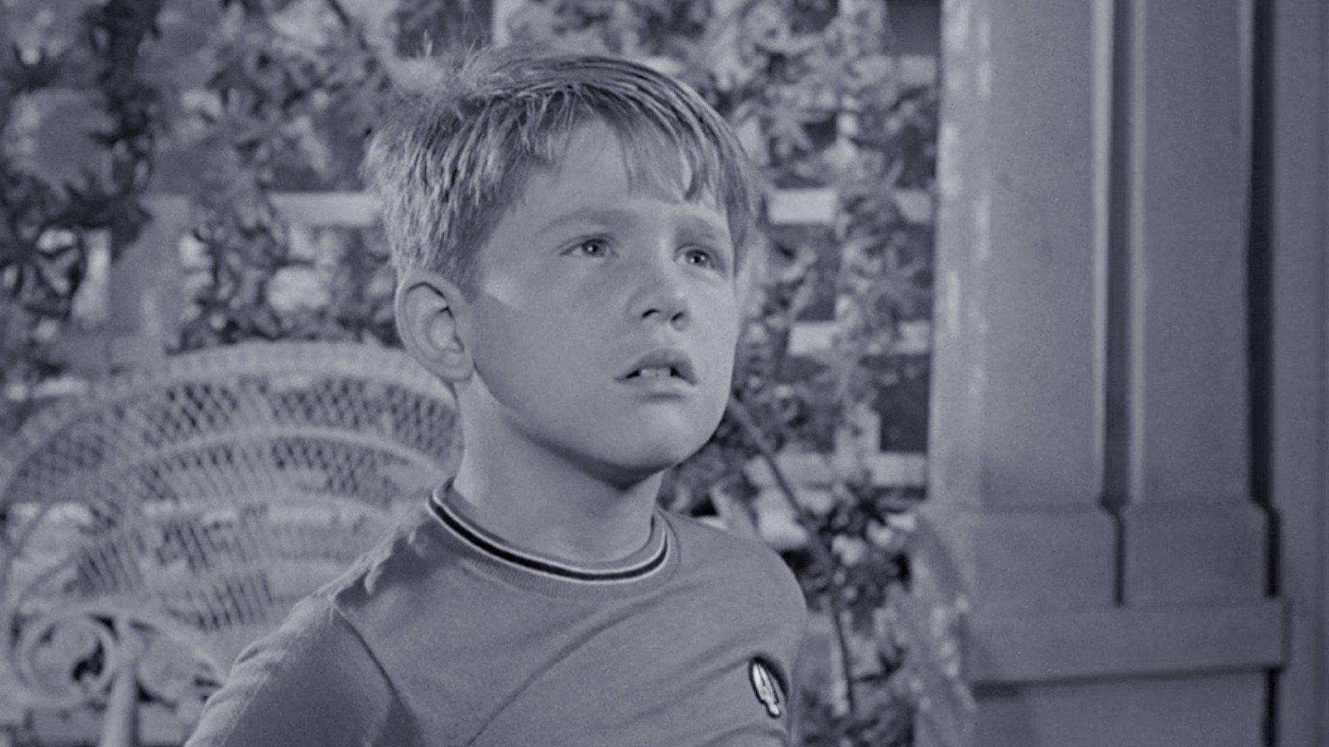 The Andy Griffith Show Aunt Bee The Crusader
