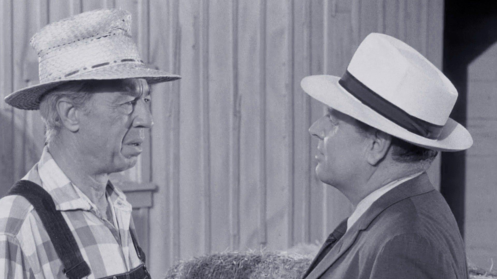 The Andy Griffith Show: The Cow Thief