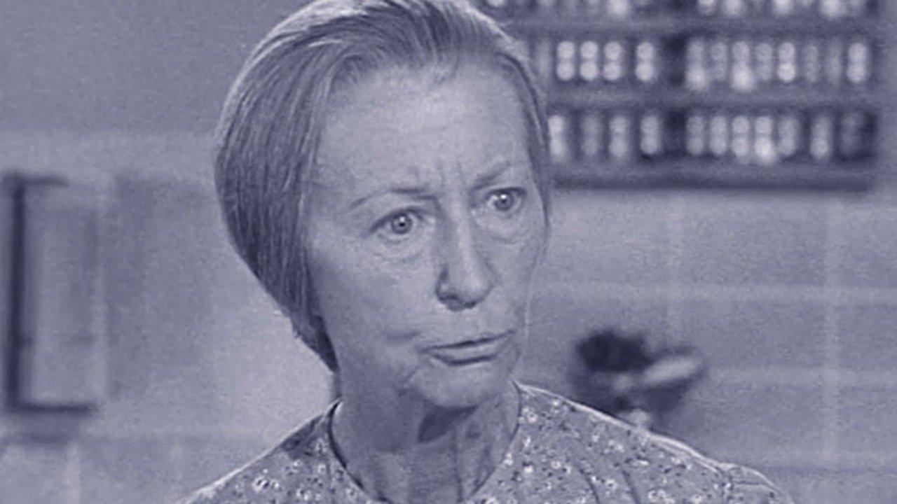 The Beverly Hillbillies: The Servants