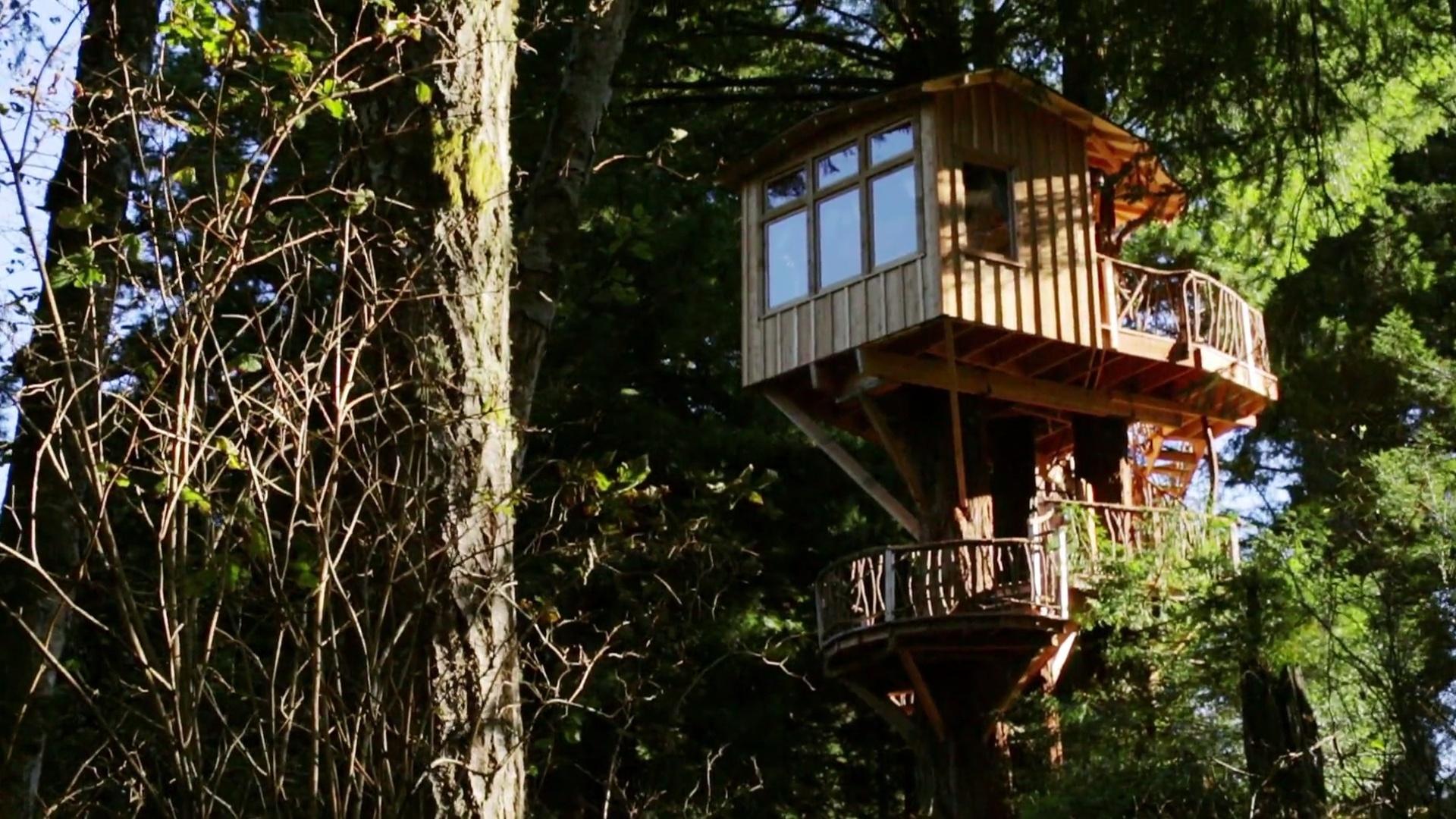 Treehouse Masters: Sky High Redwood Retreat