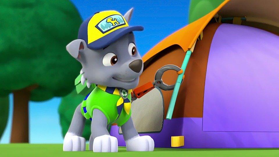 PAW Patrol: Pups Save the Camping Trip; Pups and the Trouble with Turtles