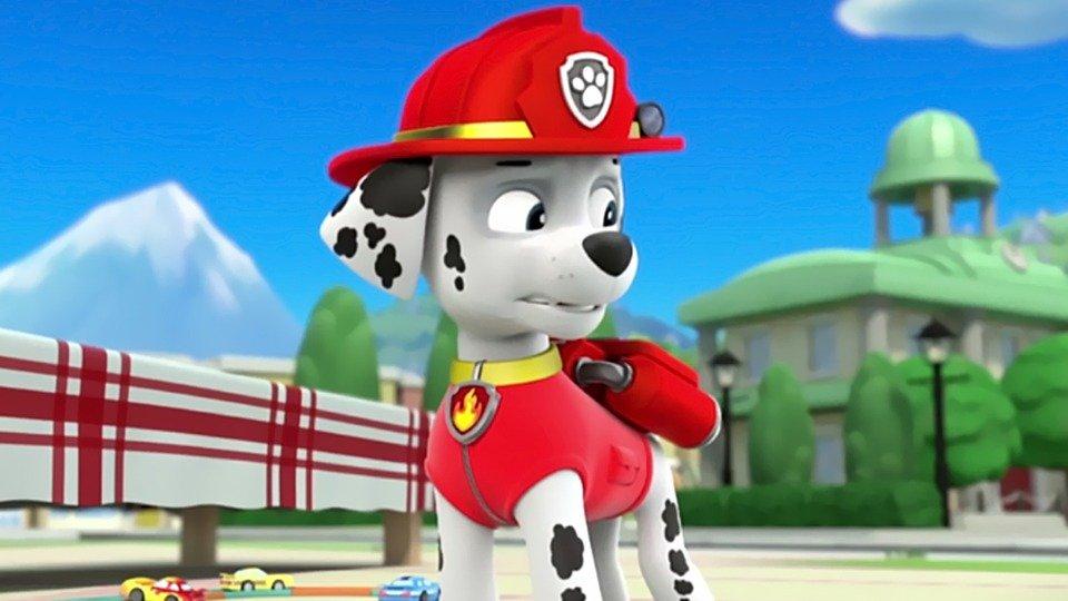 PAW Patrol: Pups Great Race; Pups Take the Cake on Philo