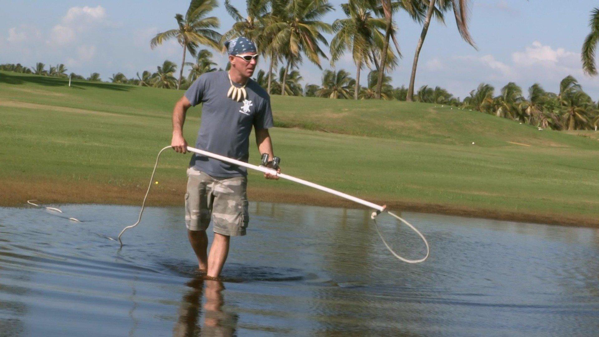 Gator Boys: Mayhem in Mazatlán