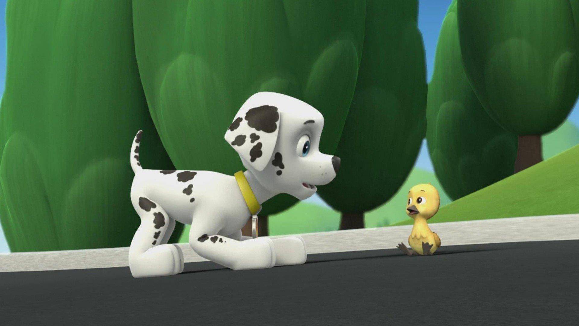 PAW Patrol: Pup Pup Goose