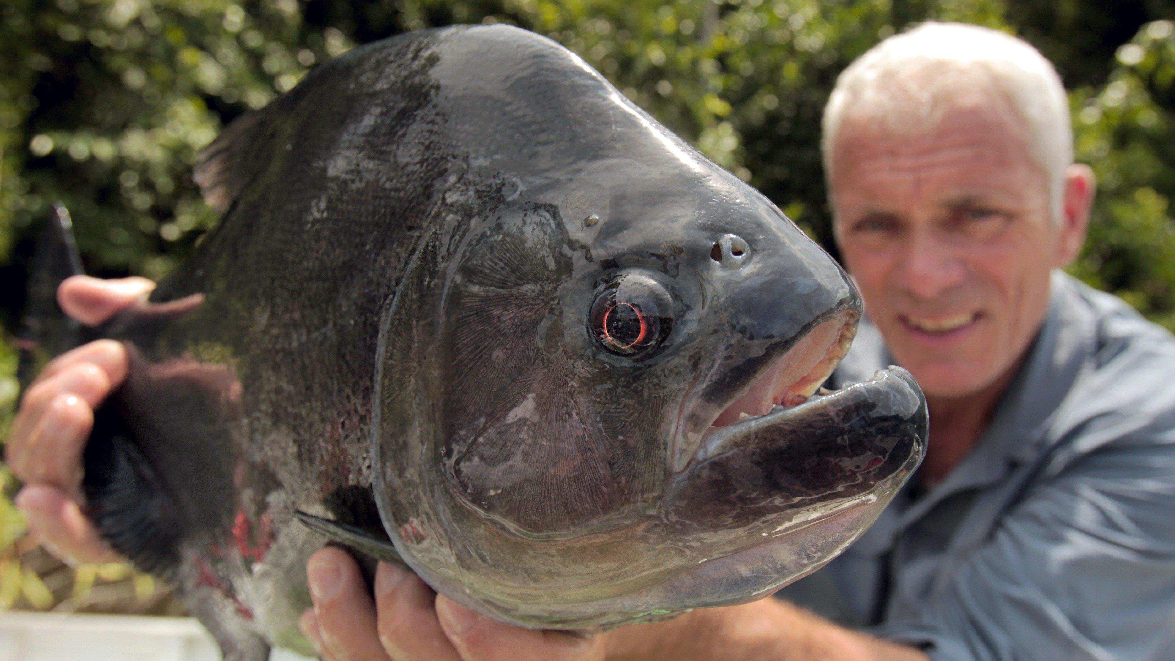River Monsters: Bone Crusher