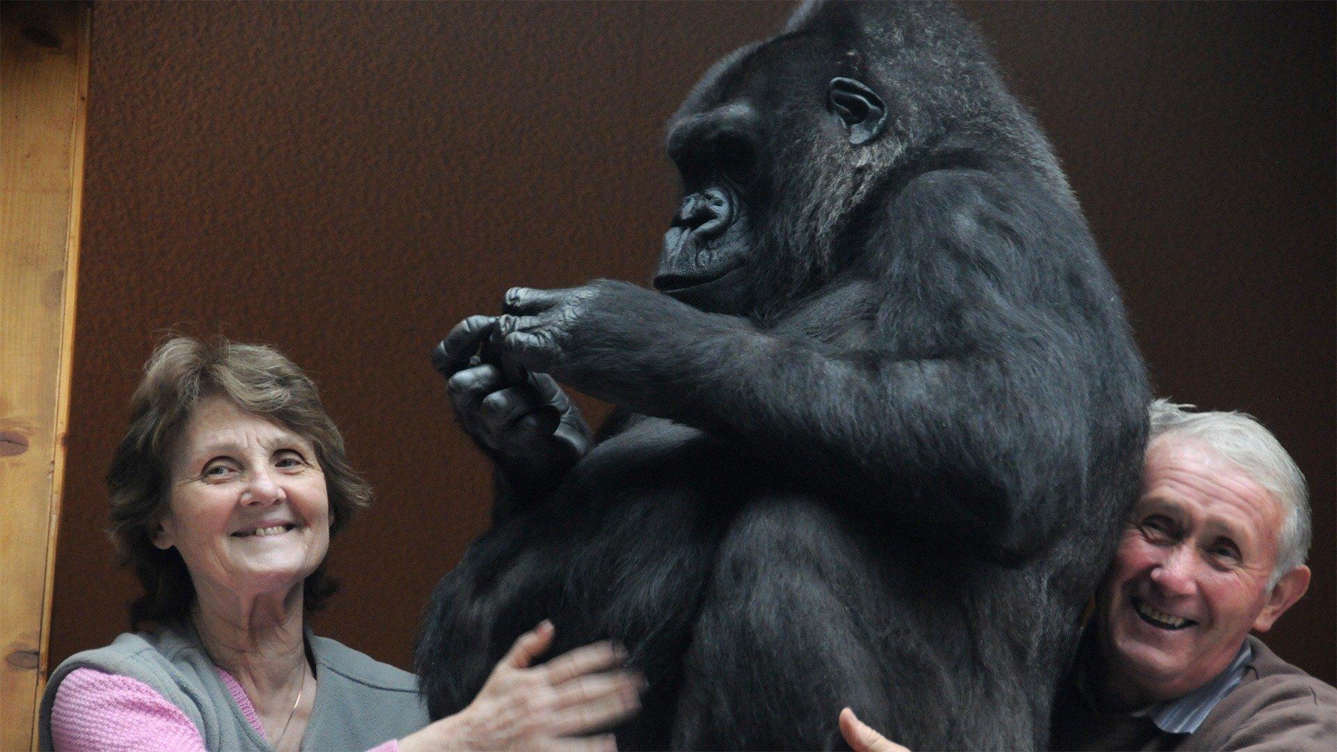 Preposterous Pets: Mad About Monkeys