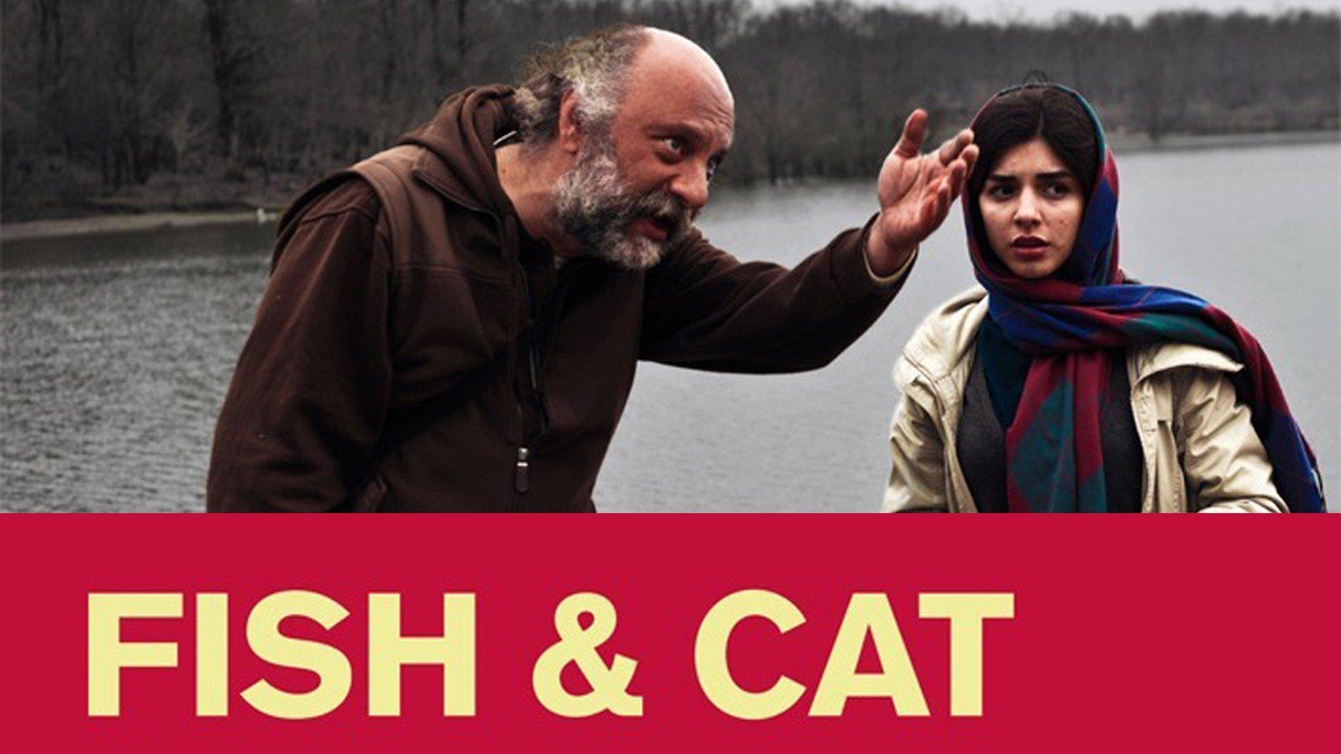 Watch Fish & Cat Streaming Online on Philo (Free Trial)