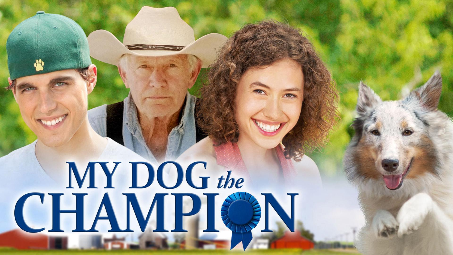 Watch My Dog the Champion Streaming Online on Philo (Free Trial)