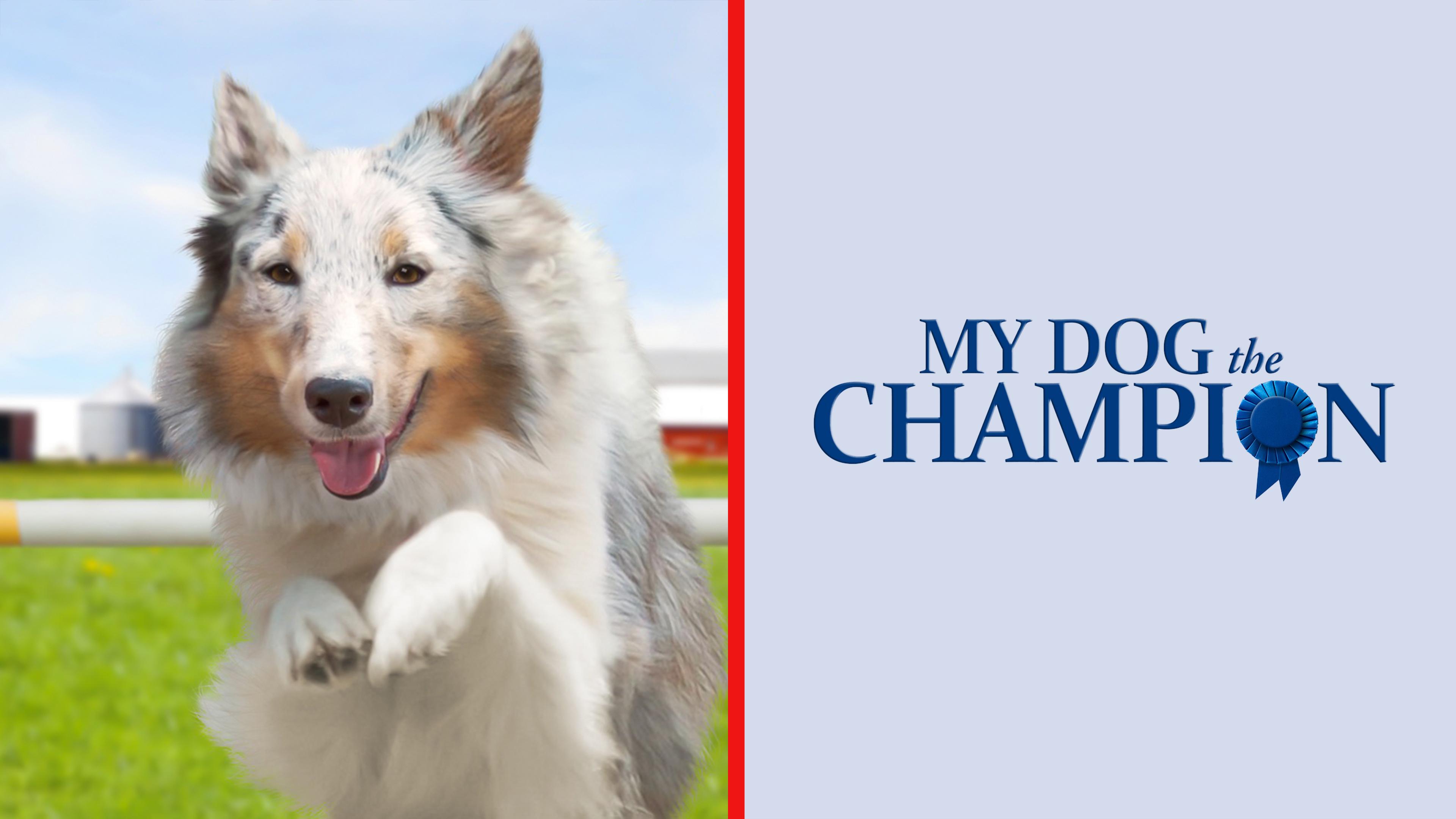Watch My Dog the Champion Streaming Online on Philo (Free Trial)
