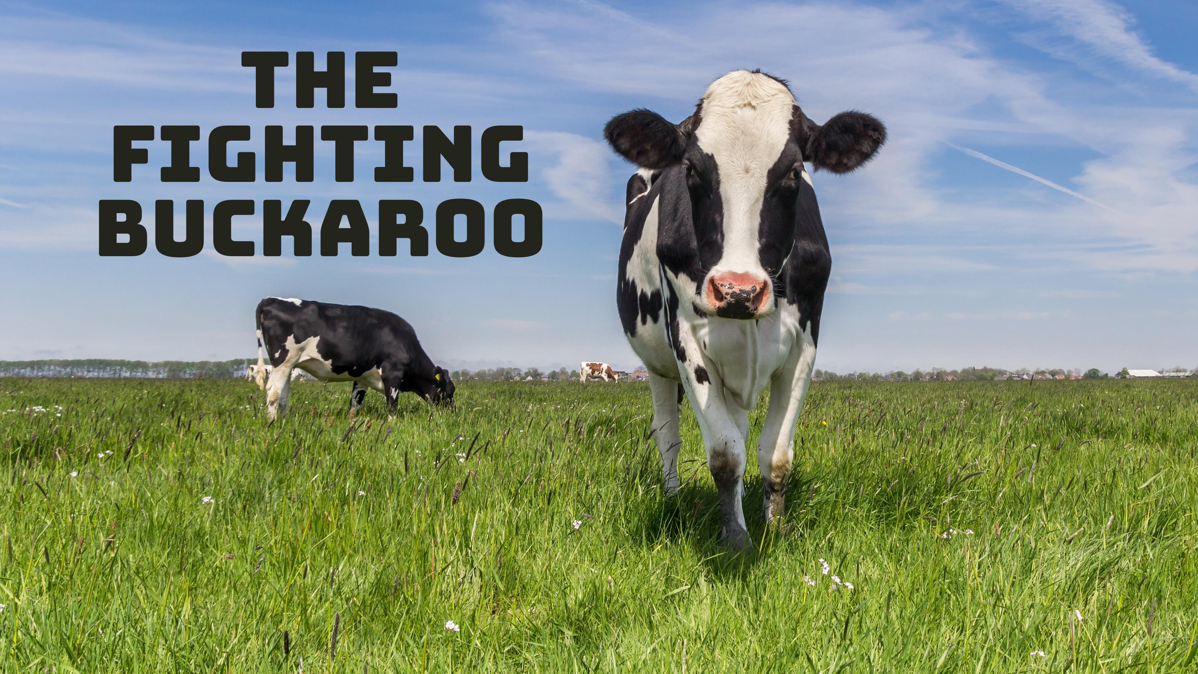Watch The Fighting Buckaroo Streaming Online on Philo (Free Trial)