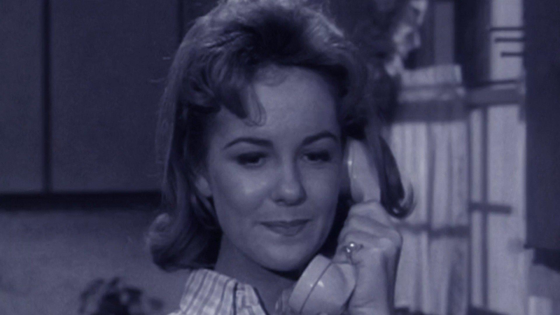 The Donna Reed Show: The Golden Trap