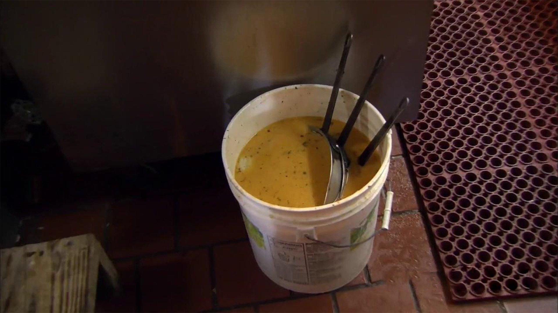 Bar Rescue: Taffer's Top 10: Most Disgusting Bars