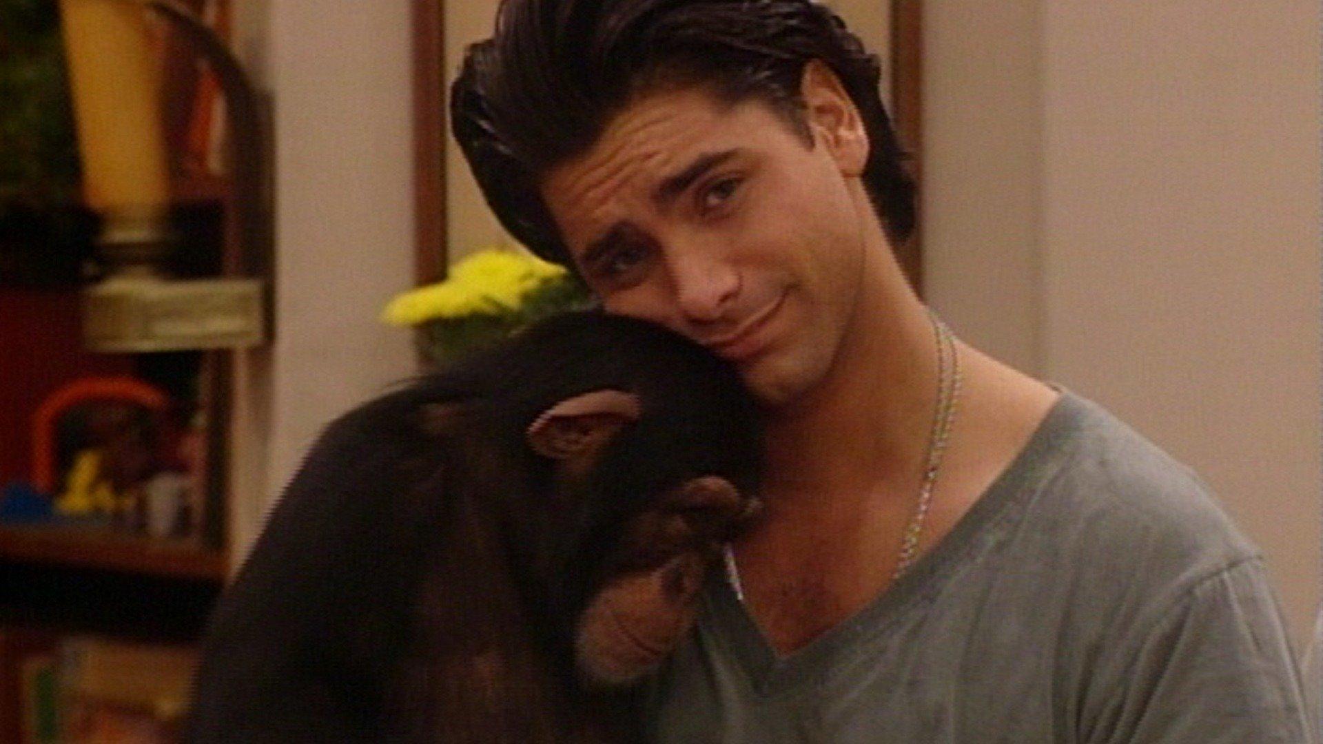 Full House: Too Much Monkey Business