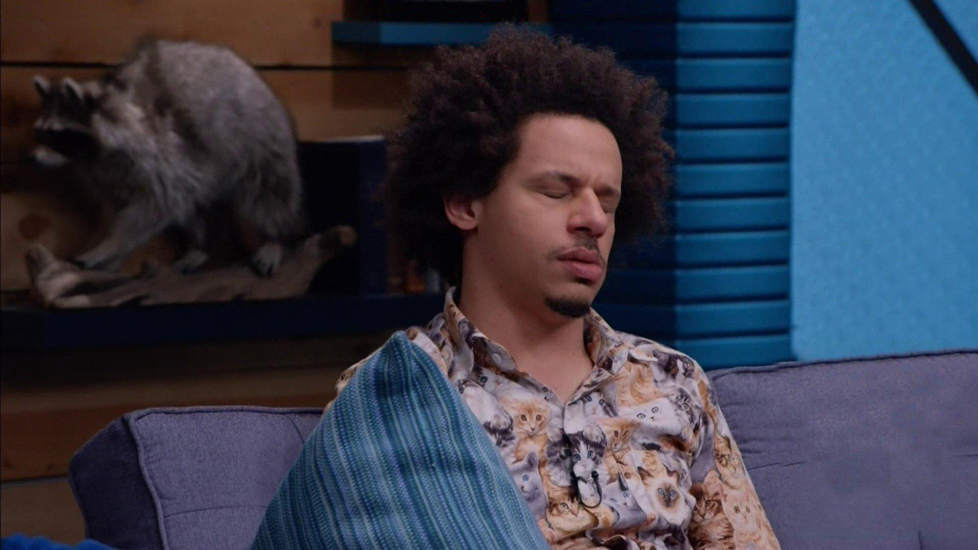 Comedy Bang! Bang!: Eric Andre Wears a Cat Collage Shirt & Sneakers