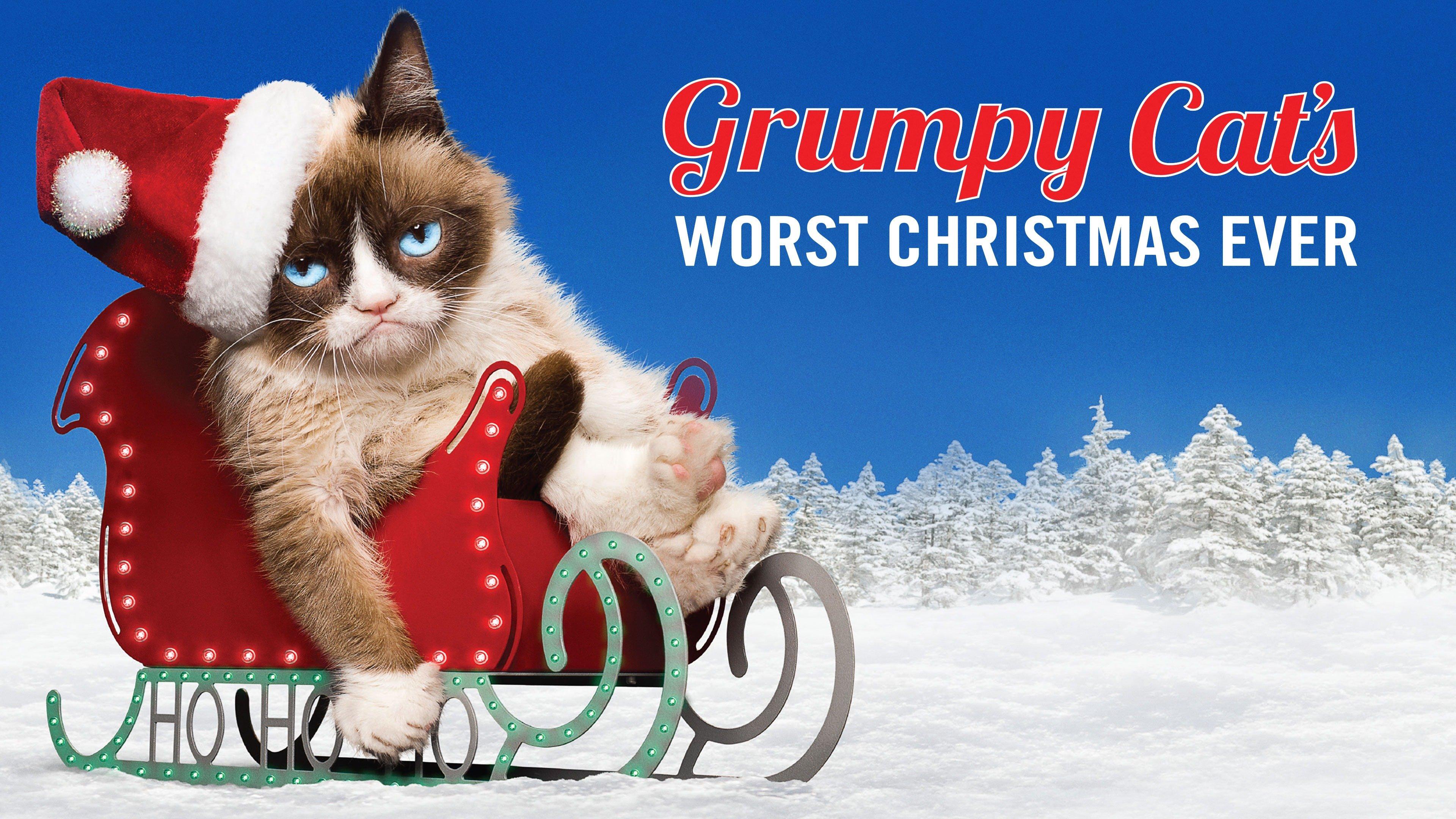Watch Grumpy Cat's Worst Christmas Ever Streaming Online on Philo (Free ...
