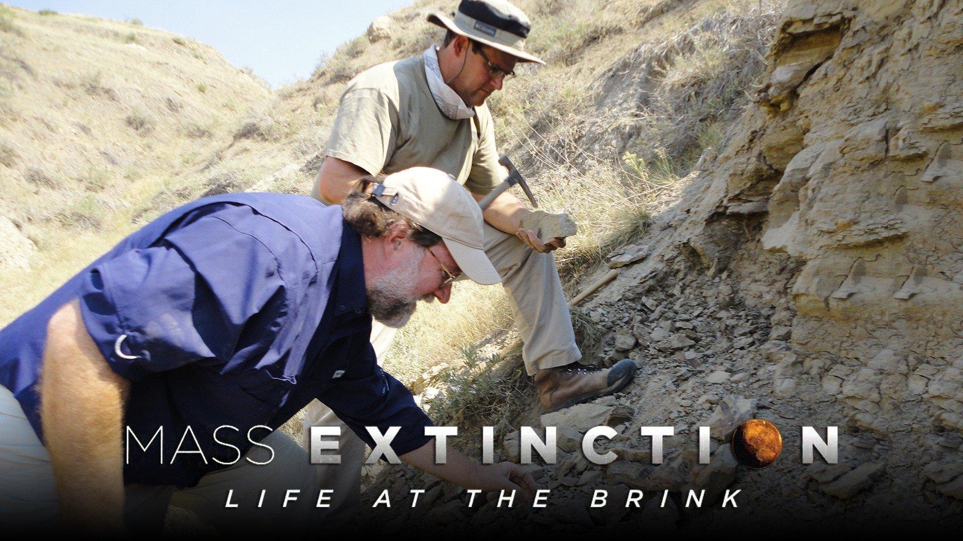 Mass Extinction: Life at the Brink