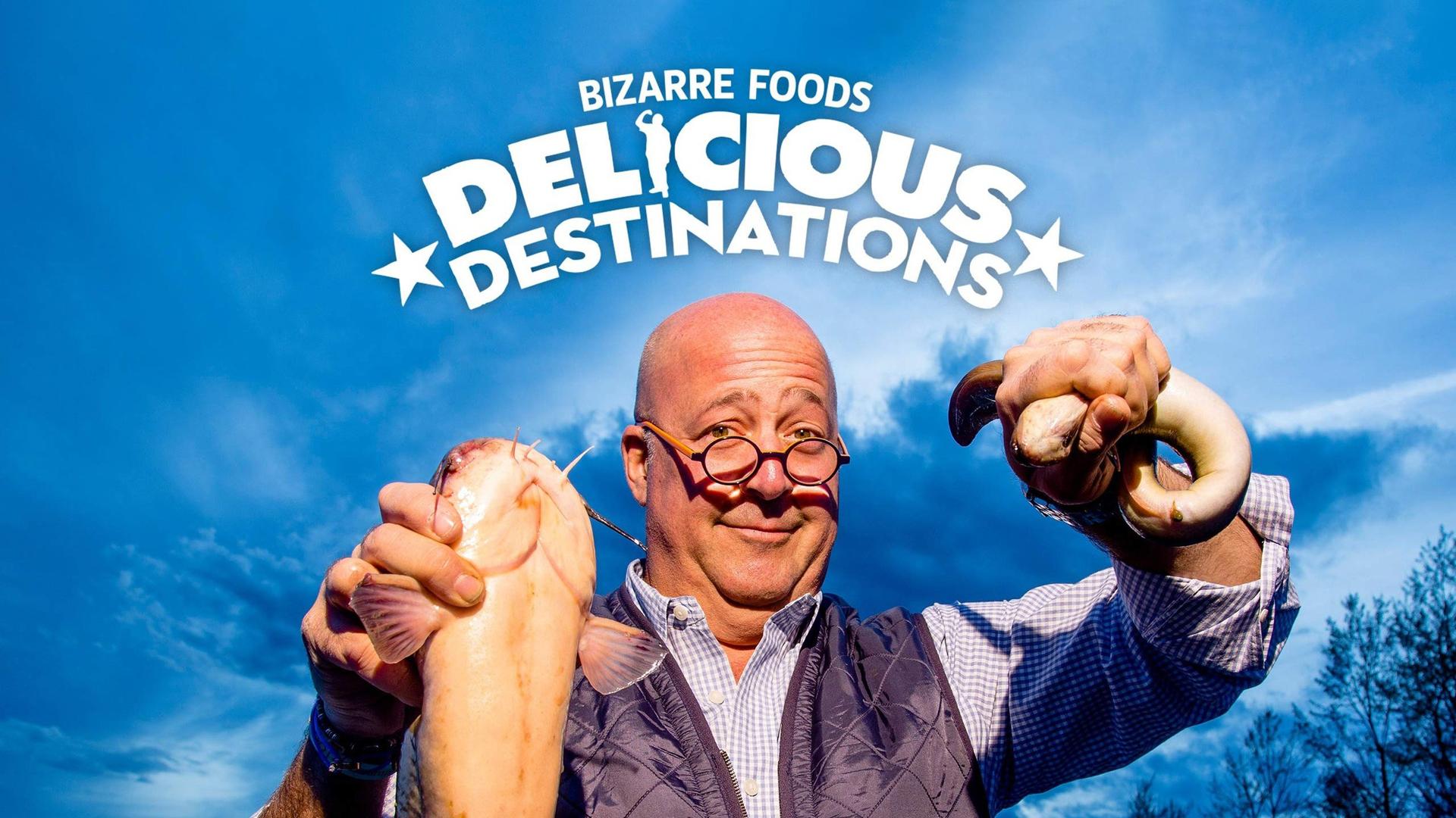 Watch Bizarre Foods: Delicious Destinations Streaming Online on Philo ...