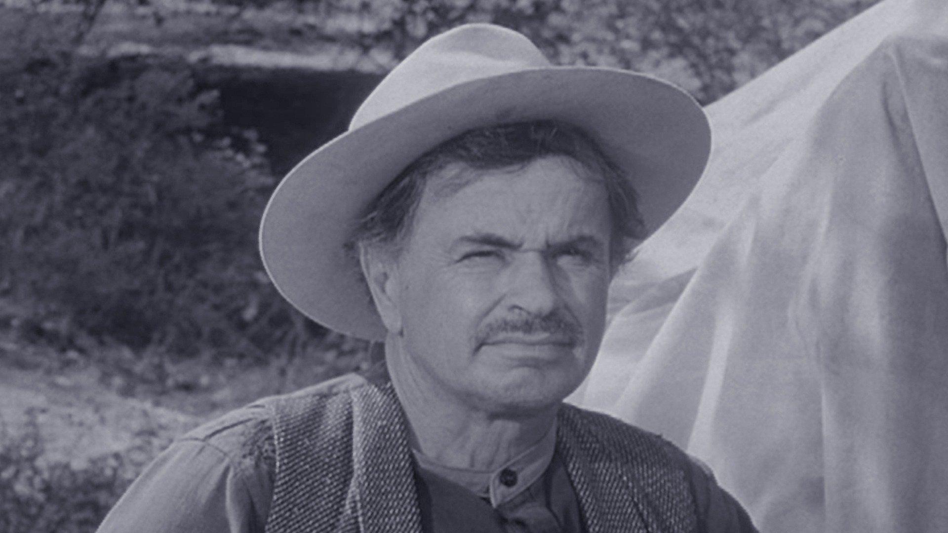 Gunsmoke: Prairie Wolfer