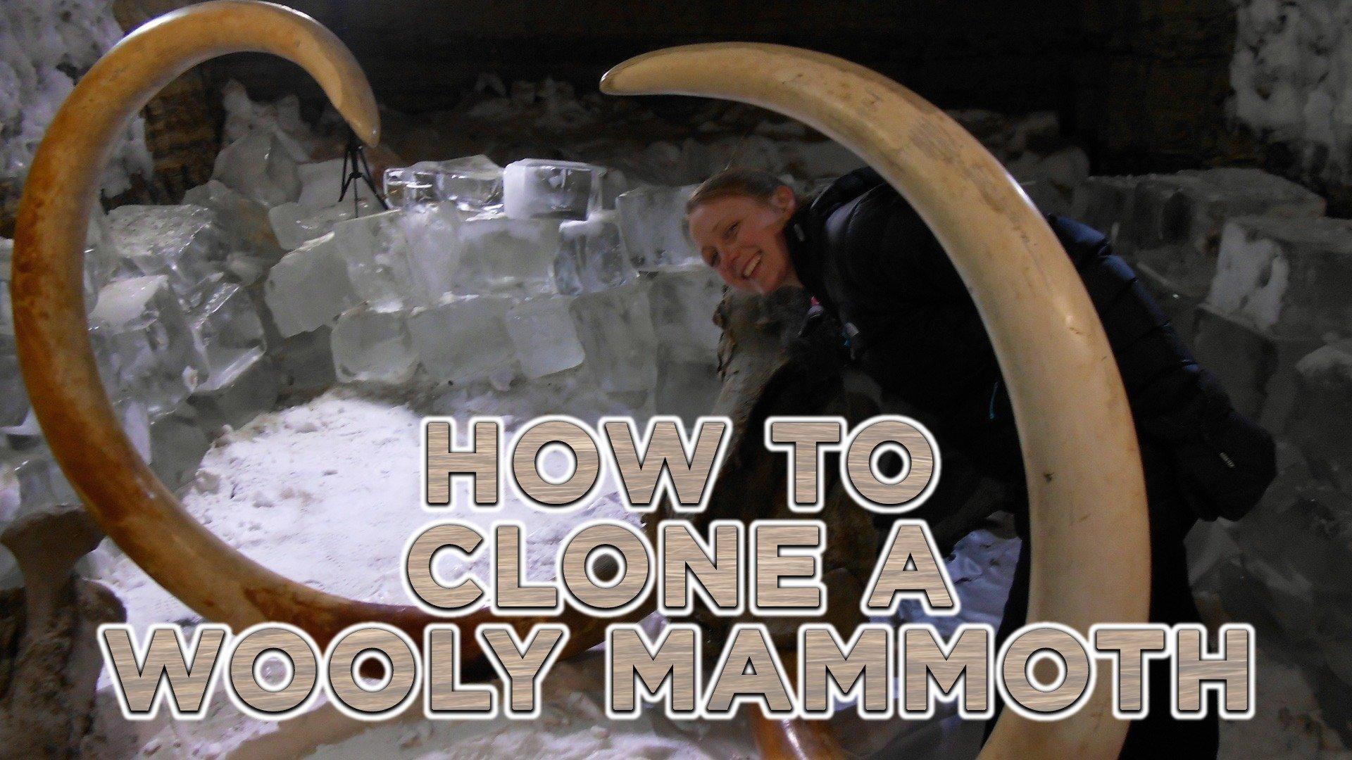 Watch How to Clone a Woolly Mammoth Streaming Online on Philo (Free Trial)