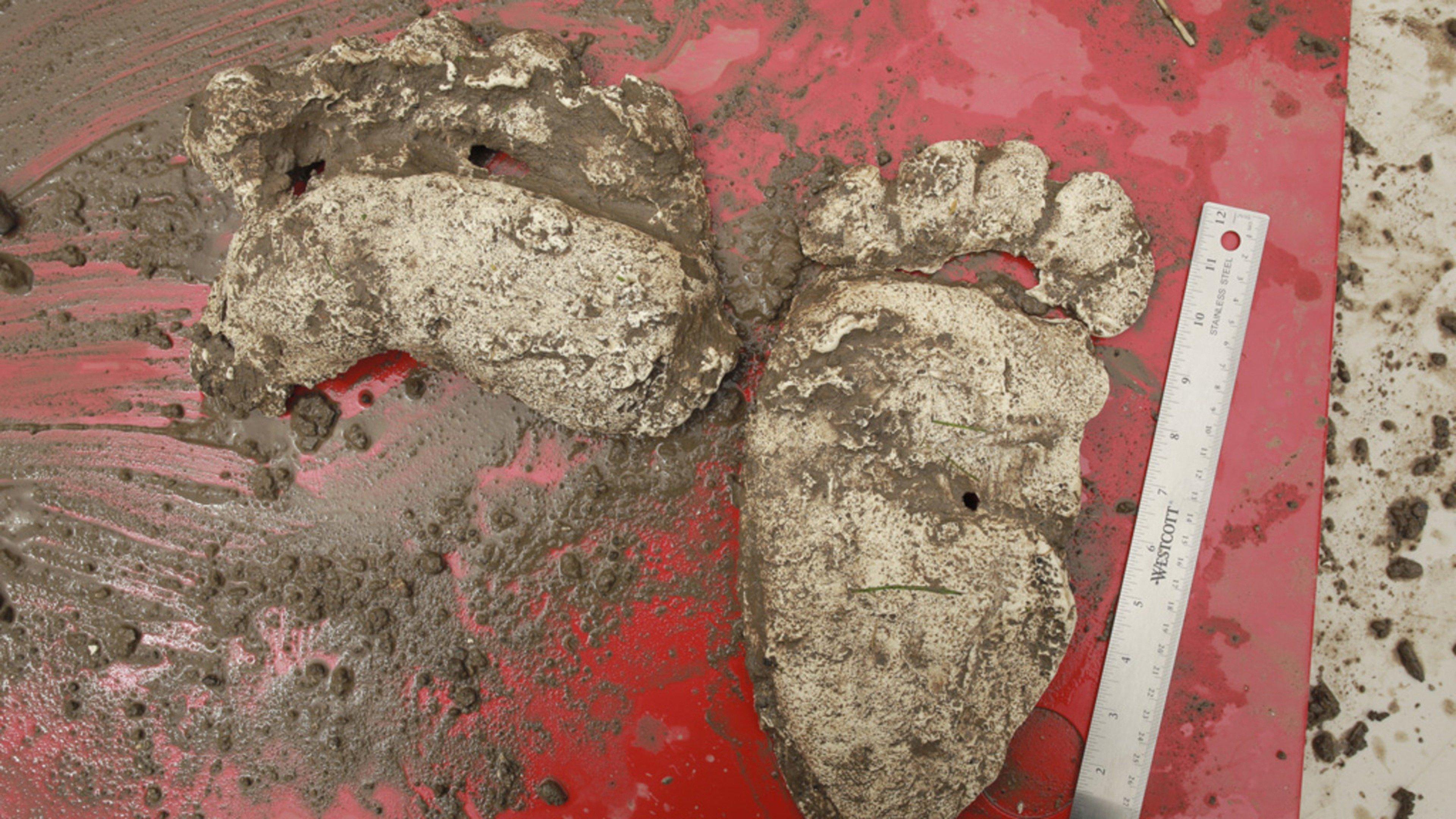 The Missing Evidence: Big Foot