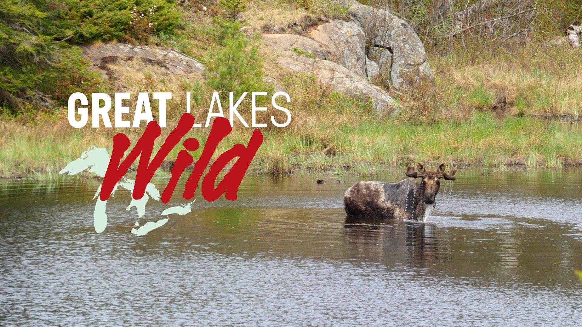 Watch Great Lakes Wild Streaming Online on Philo (Free Trial)