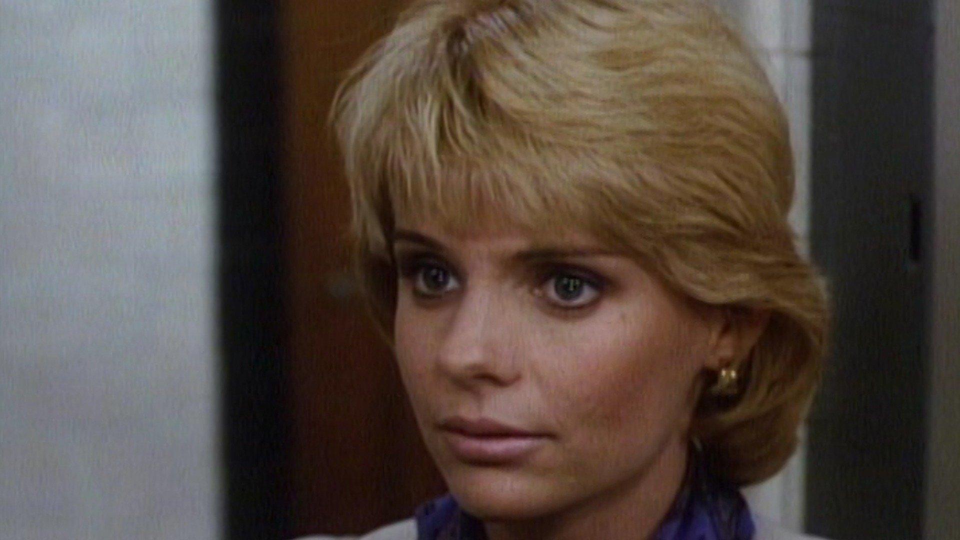 Matlock: Diary of a Perfect Murder