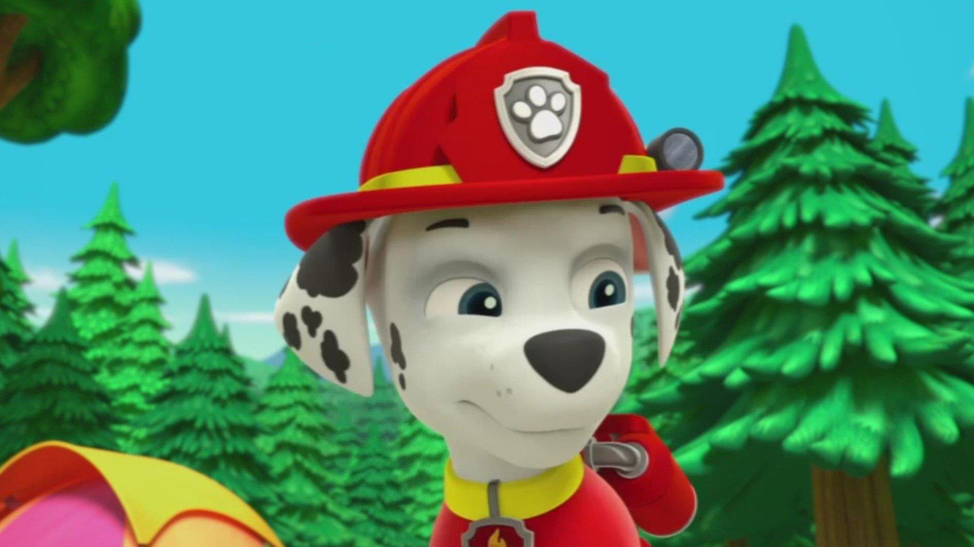 PAW Patrol: Pups Save an Adventure; Pups Save a Surprise
