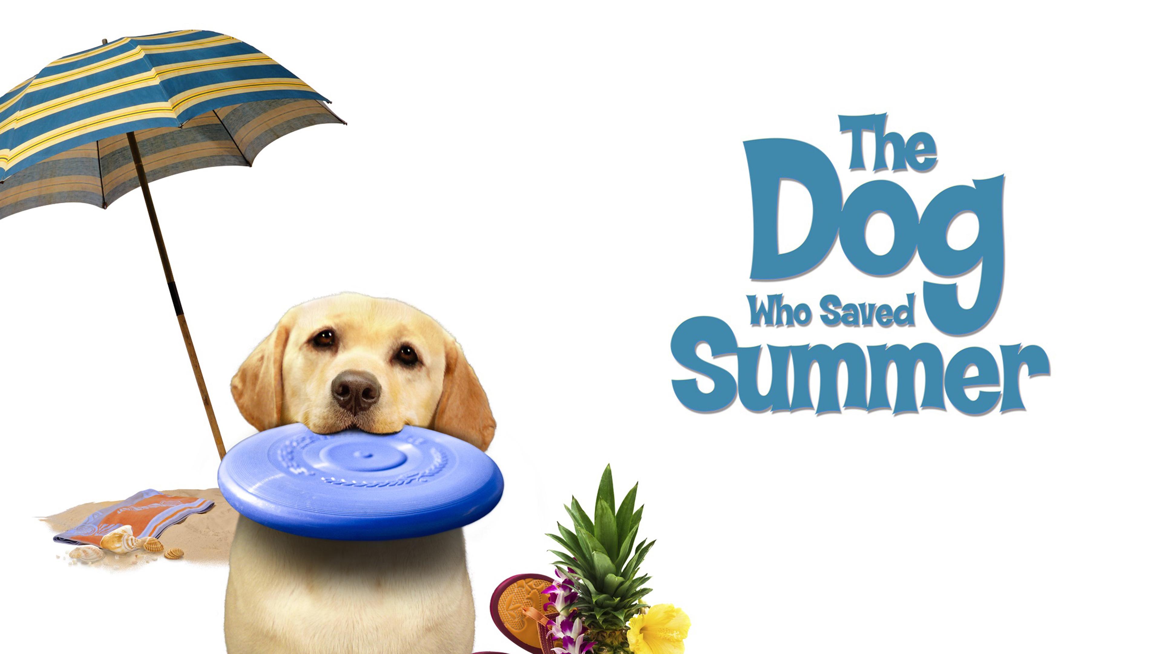 Watch The Dog Who Saved Summer Streaming Online on Philo (Free Trial)