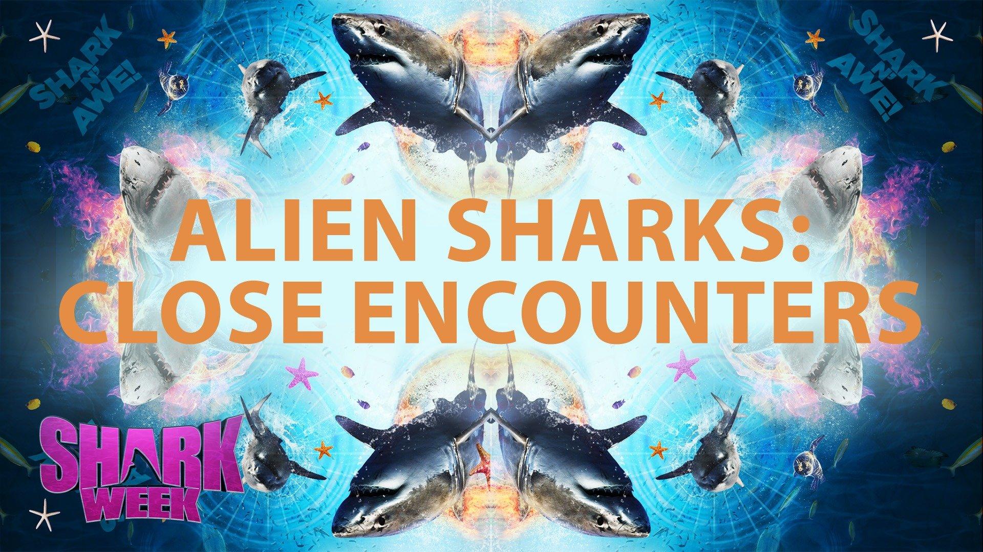 Watch Alien Sharks: Close Encounters Streaming Online on Philo (Free Trial)