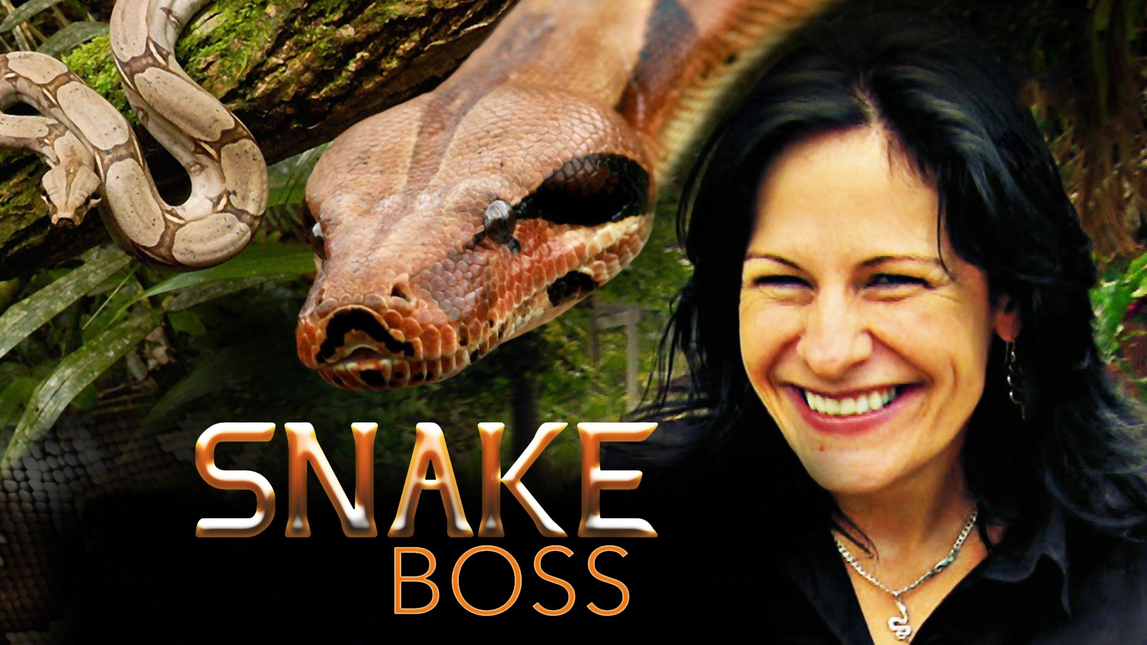Watch Snake Boss Streaming Online on Philo (Free Trial)