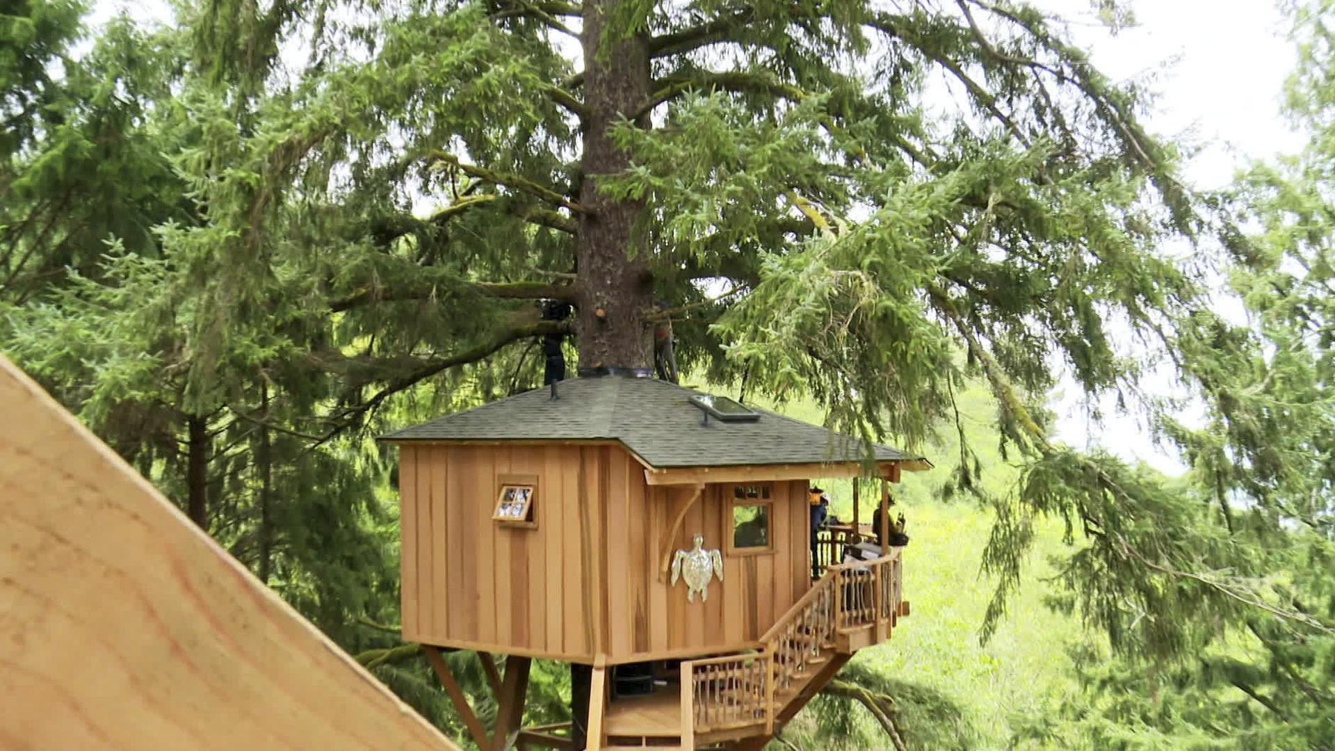 Treehouse Masters: Home Tree Home