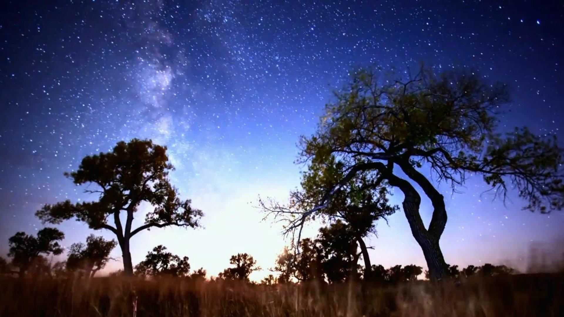 How the Universe Works: Dawn of Life