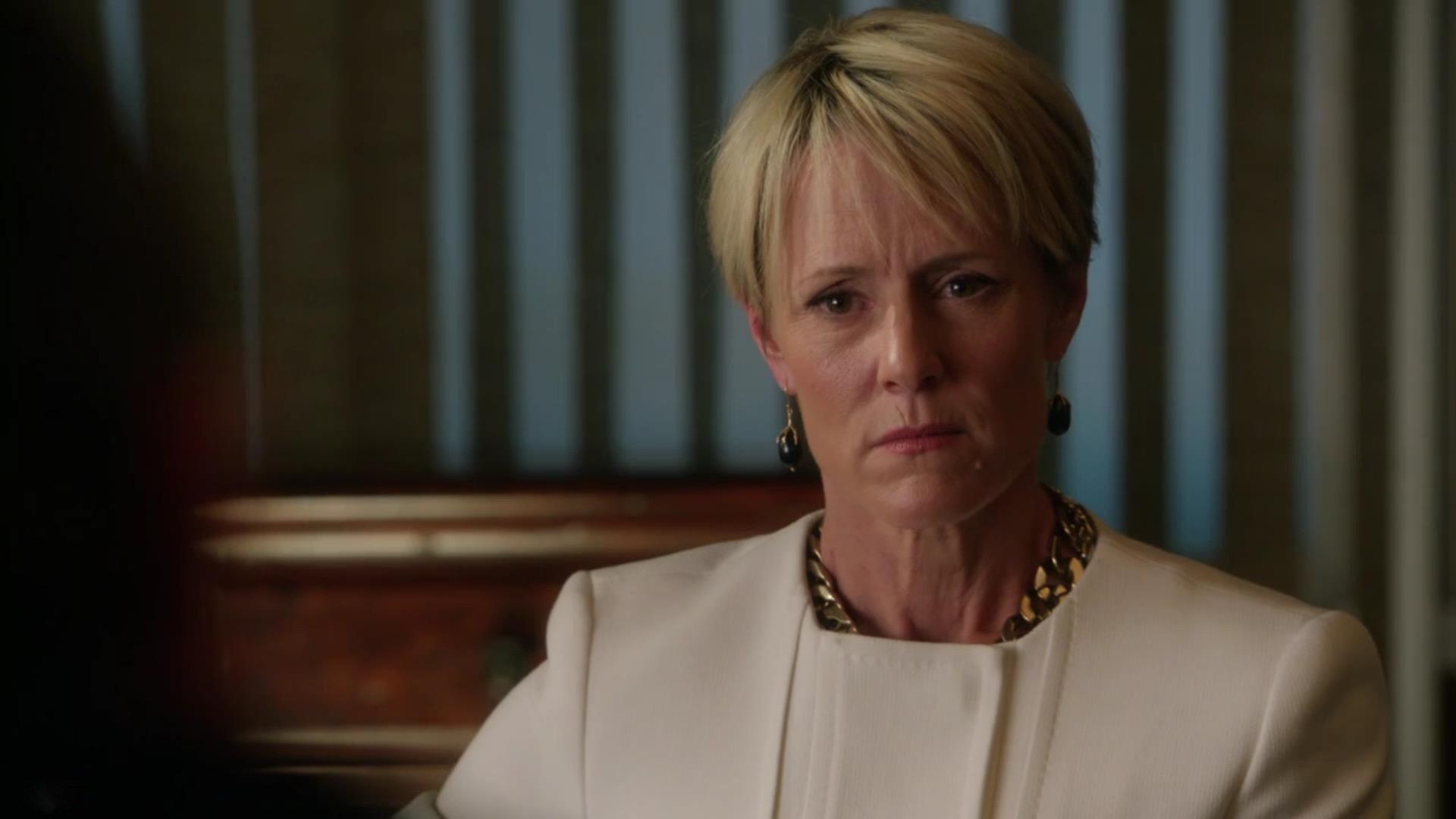 Blue Bloods: Absolute Power