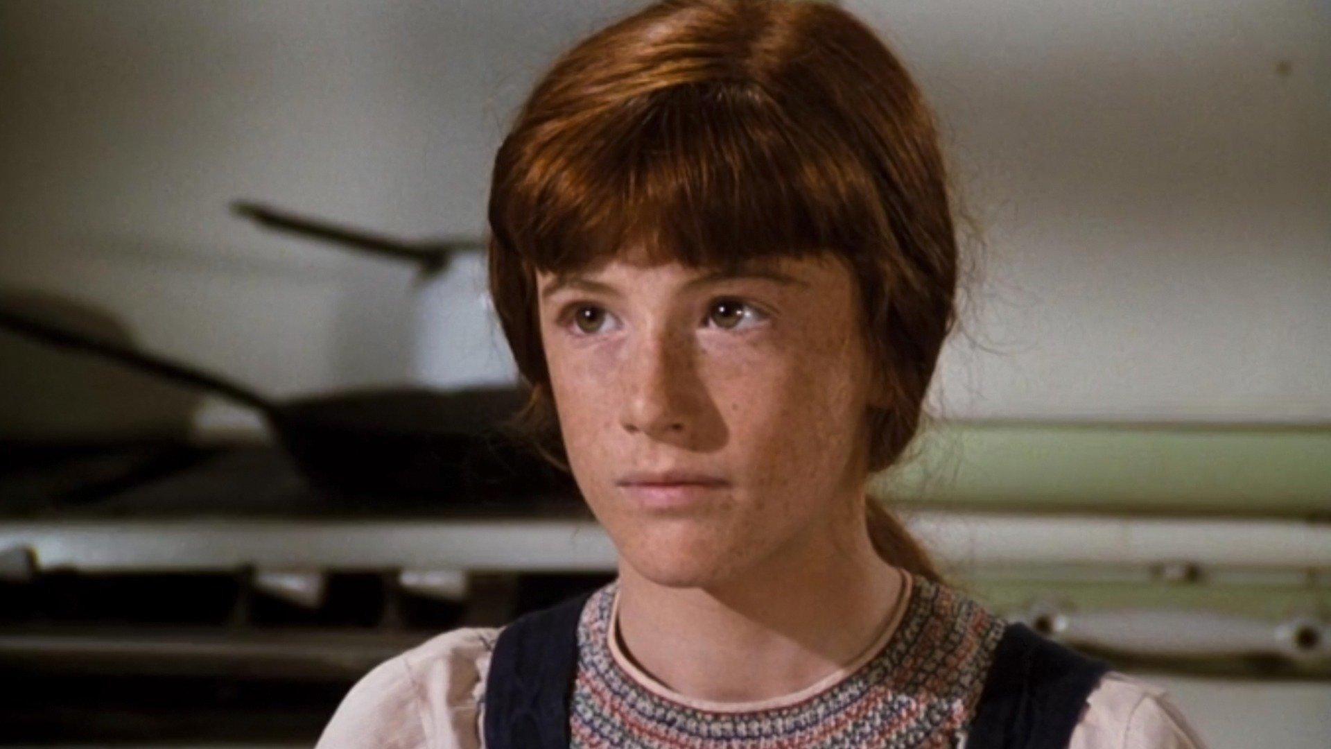 The Waltons: The Grandchild