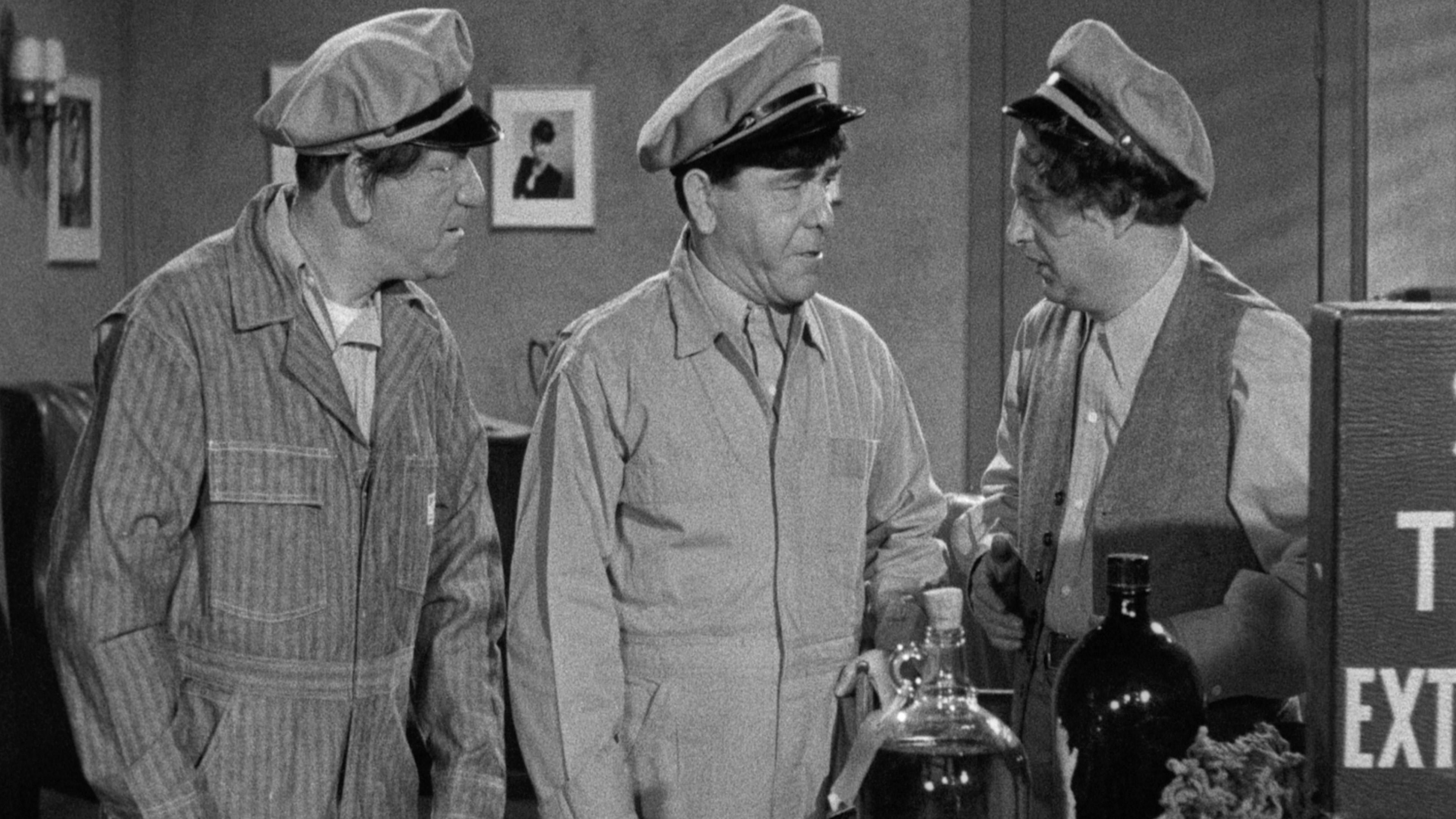 The Three Stooges: Studio Stoops