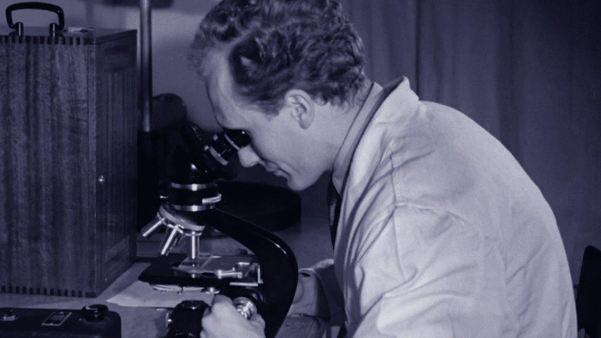 Nazi Secret Files: High Hitler and His Nazi Supersoldiers