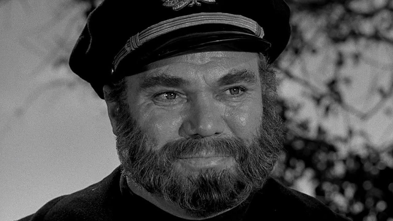 Wagon Train: The Michael McGoo Story