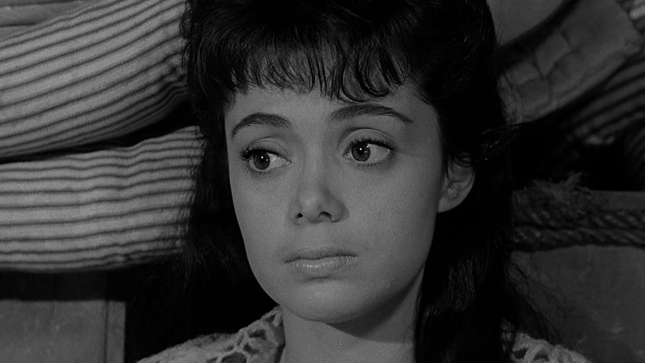 Wagon Train: The David Garner Story