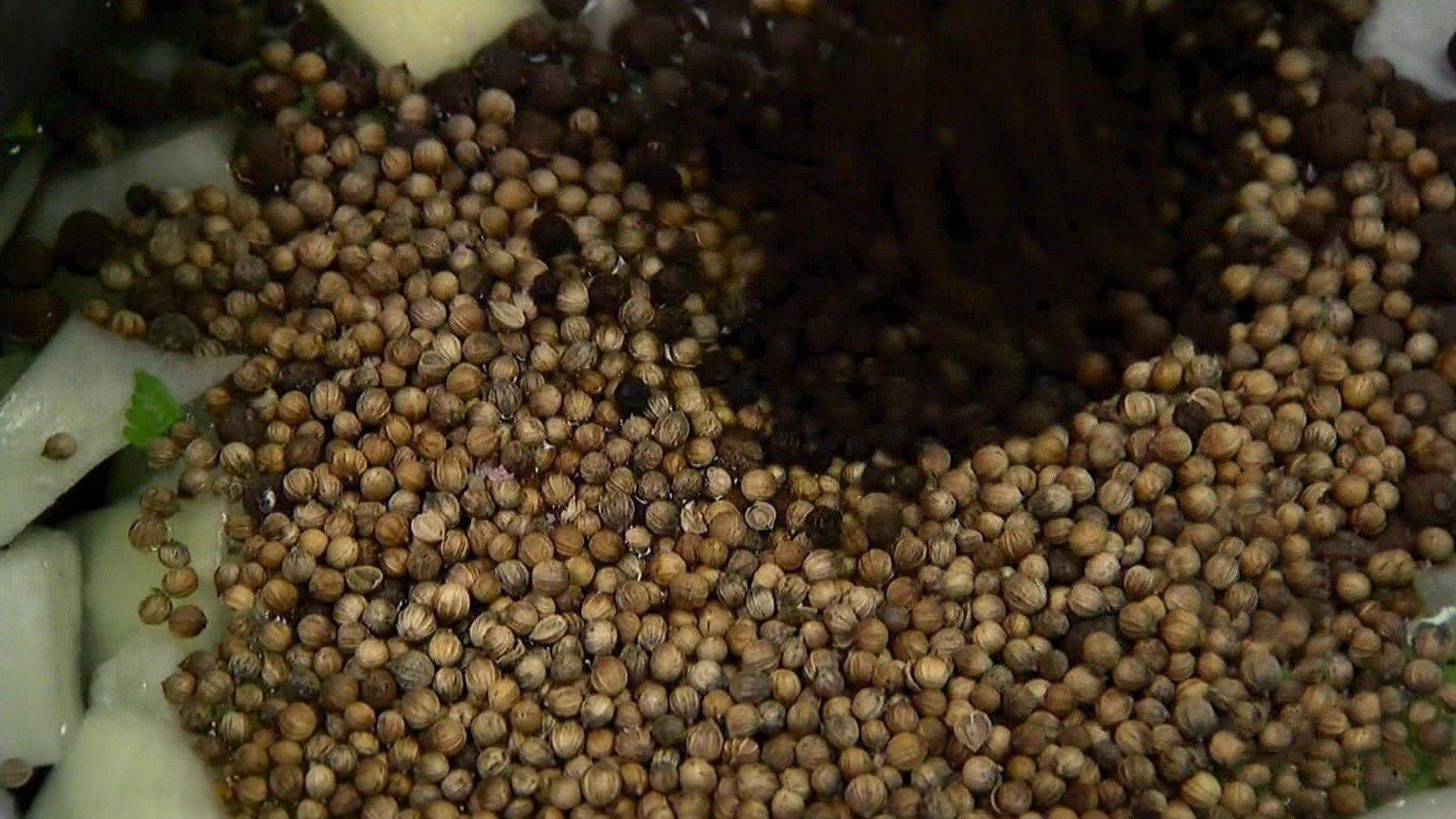 Watch Diners, Drive-Ins and Dives: S24E3 - Between the Bread on Philo ...